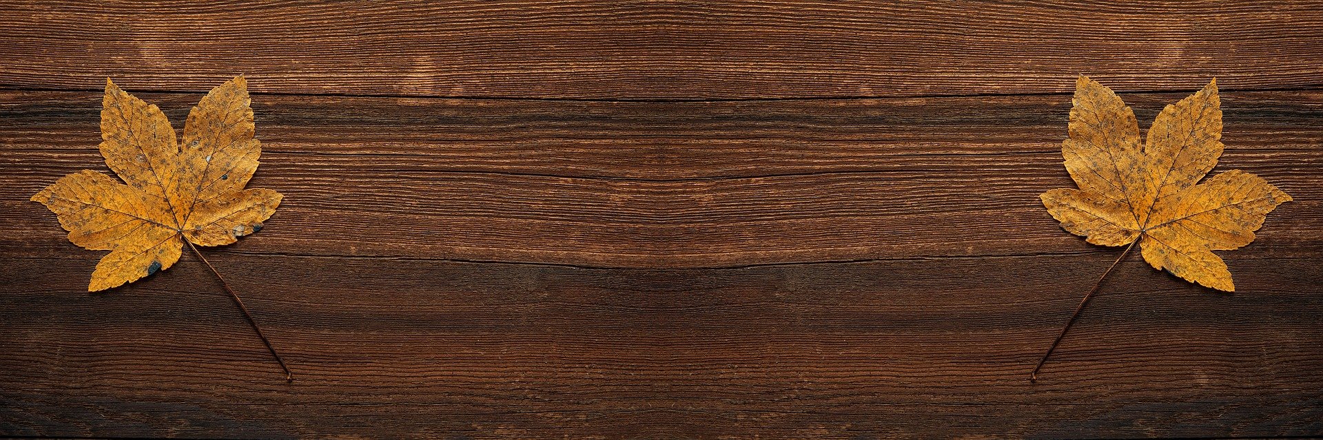 Fall Savings Event 2020